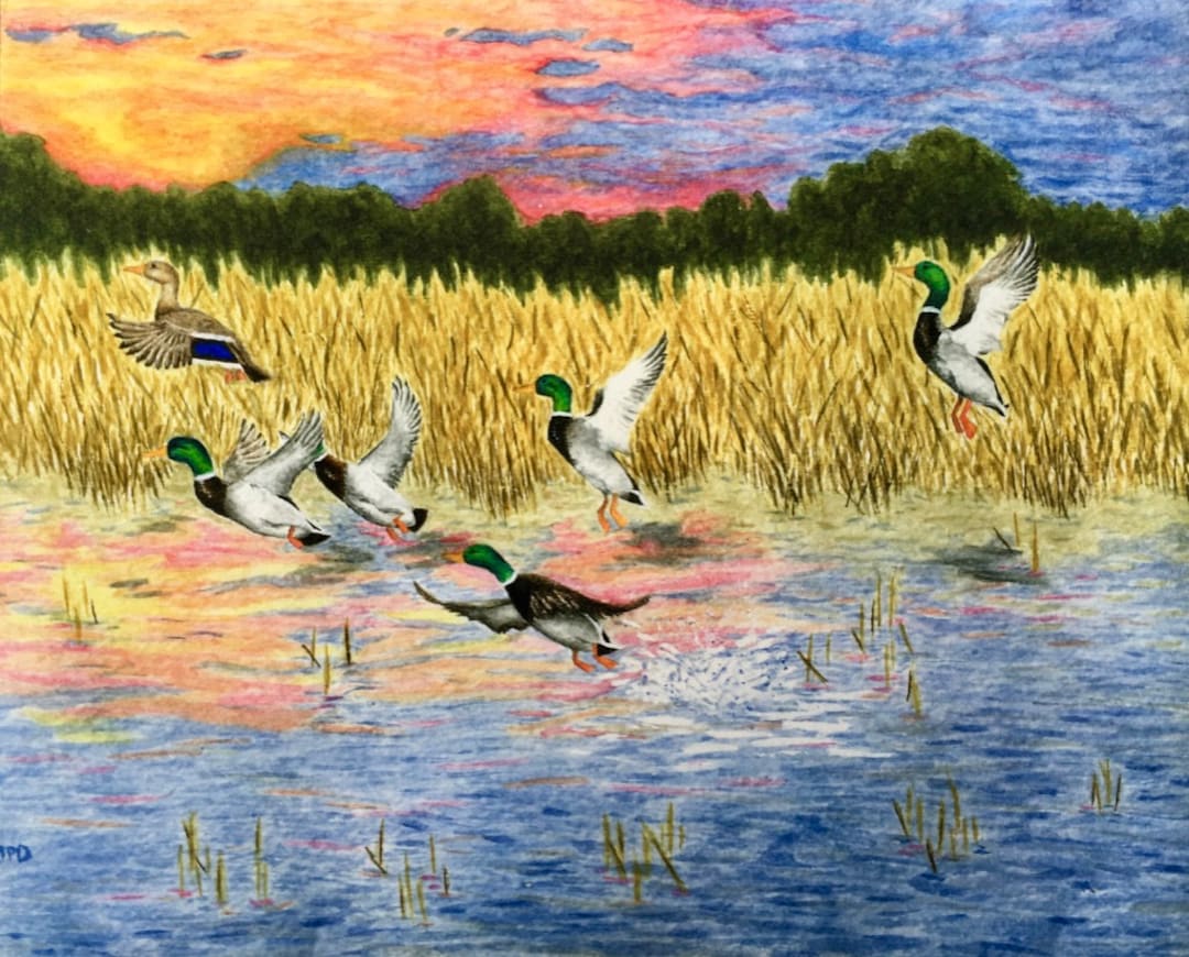 Ducks Watercolor Painting Mallard Wildlife Duck Hunting Outdoors ...