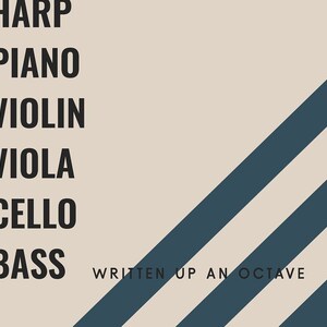 Orchestral Instruments in Score Order with Transpositions | Etsy