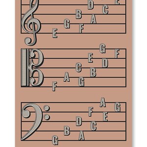Treble Clef Alto Clef & Bass Clef Note Names Poster Music - Etsy