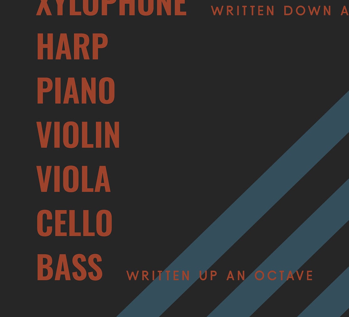 Orchestral Instruments in Score Order with Transpositions | Etsy