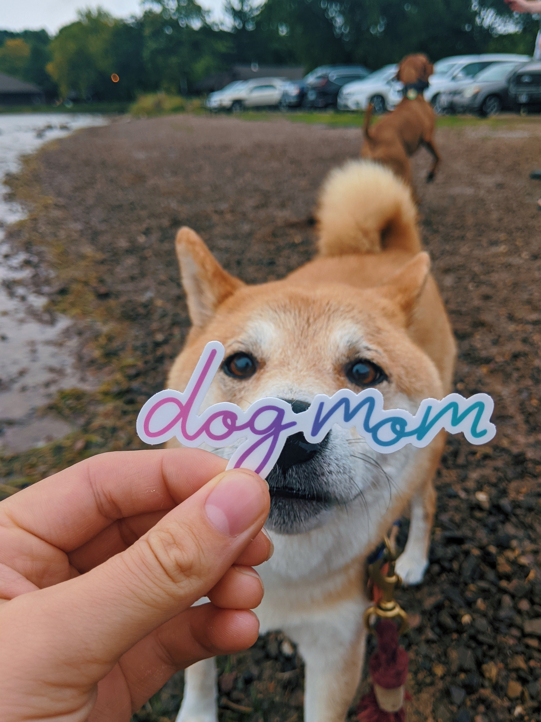 Dog Mom cursive vinyl sticker | Etsy