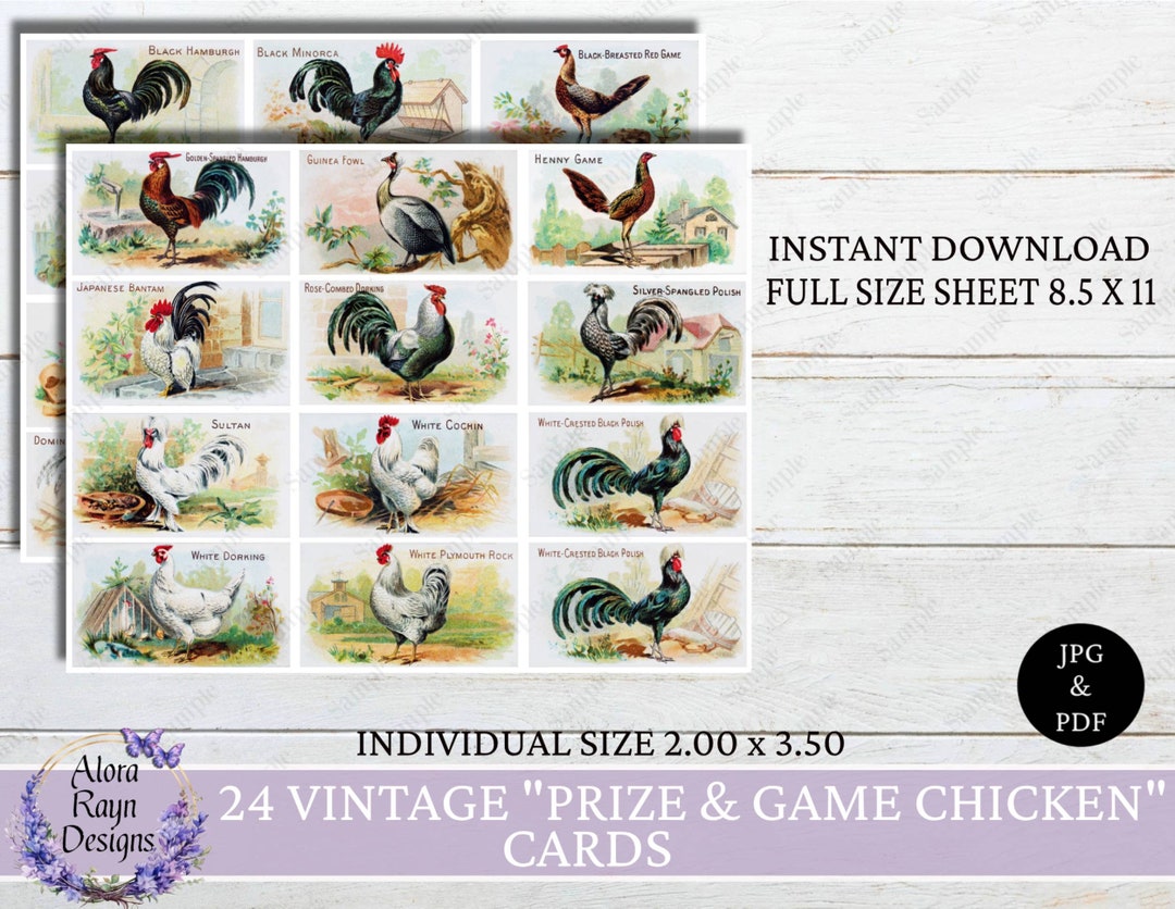 Vintage prize & Game Chicken Tea Cards, Chicken Trade Cards, Chicken ...