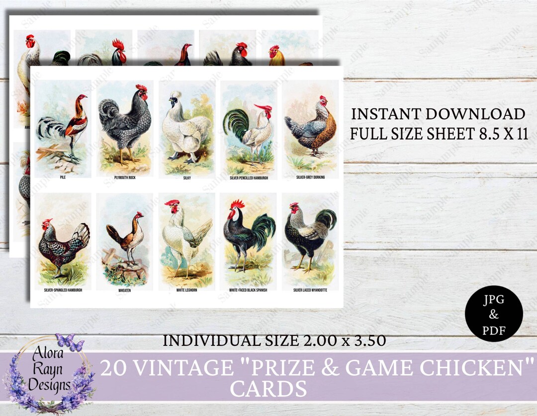 Vintage prize & Game Chicken Cards, Journal Cards, Printable Collage - Etsy