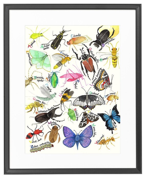 Bug Alphabet Animal Alphabet Alphabet Print Nursery Print | Etsy