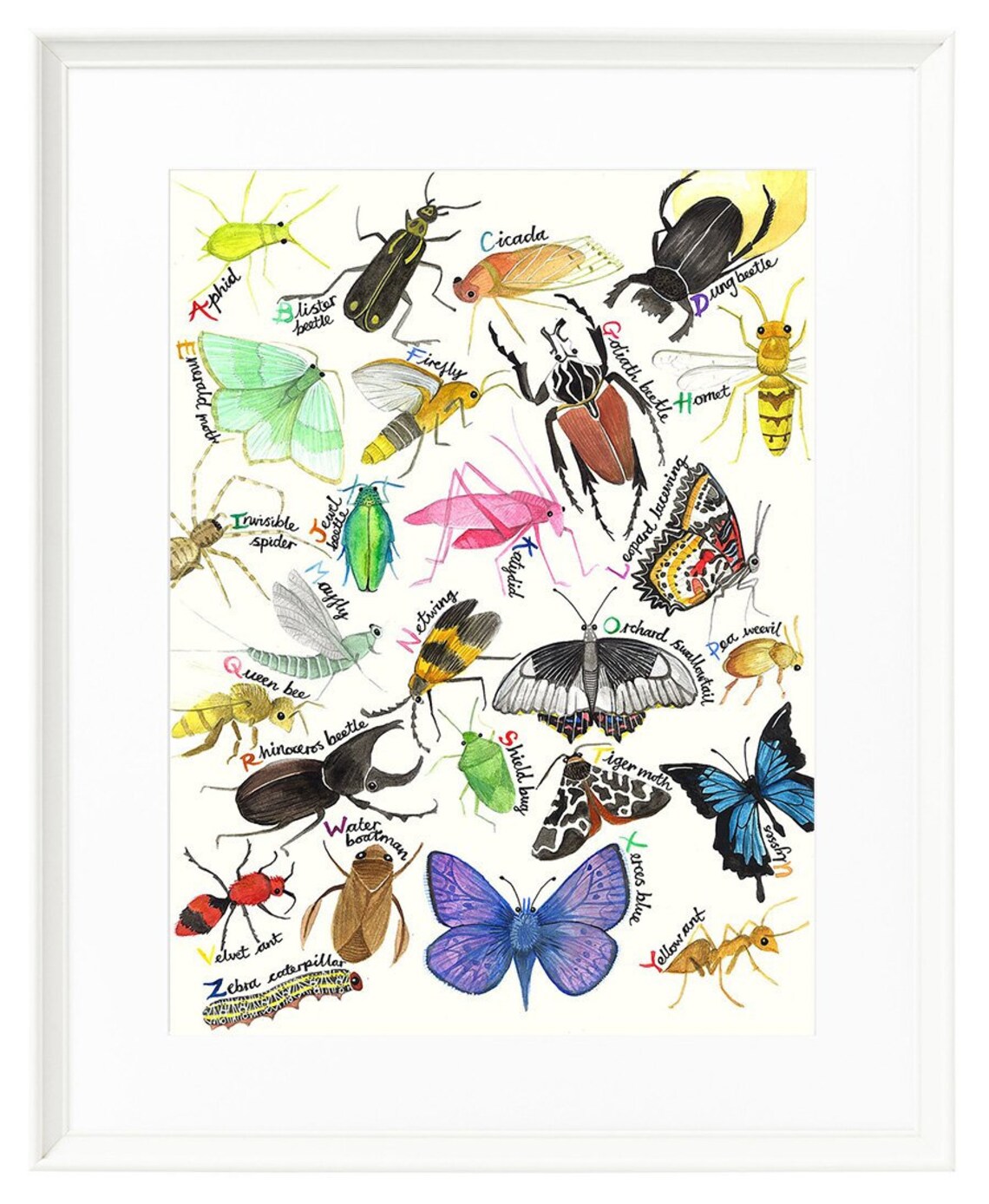 Bug Alphabet, Animal Alphabet, Alphabet Print, Nursery Print, Kids Room ...