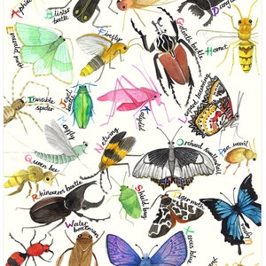 Bug Alphabet, Animal Alphabet, Alphabet Print, Nursery Print, Kids Room ...