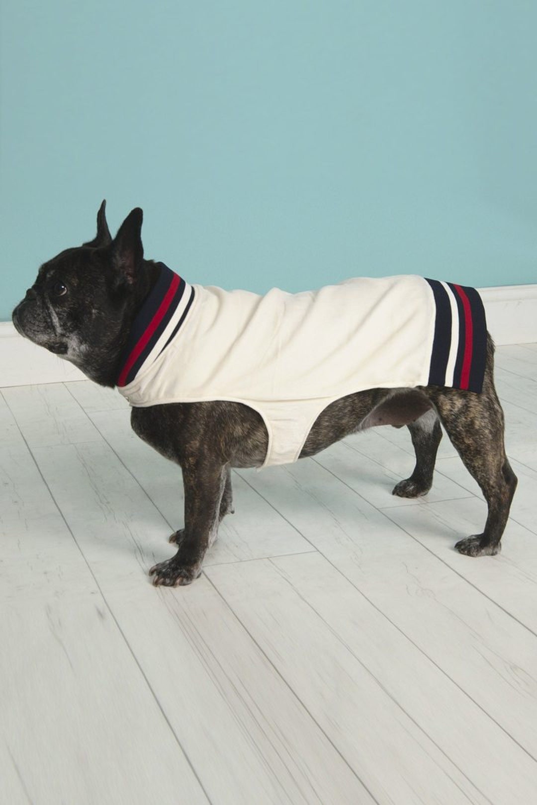 HIPSTER PUPS Dog Jacket Pup Bomber Jacket Puppy Outerwear Pet Coat in ...