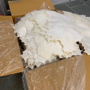 Full Hide Natural Goatskin Parchment, Genuine Calf/goatskin, Parchment ...