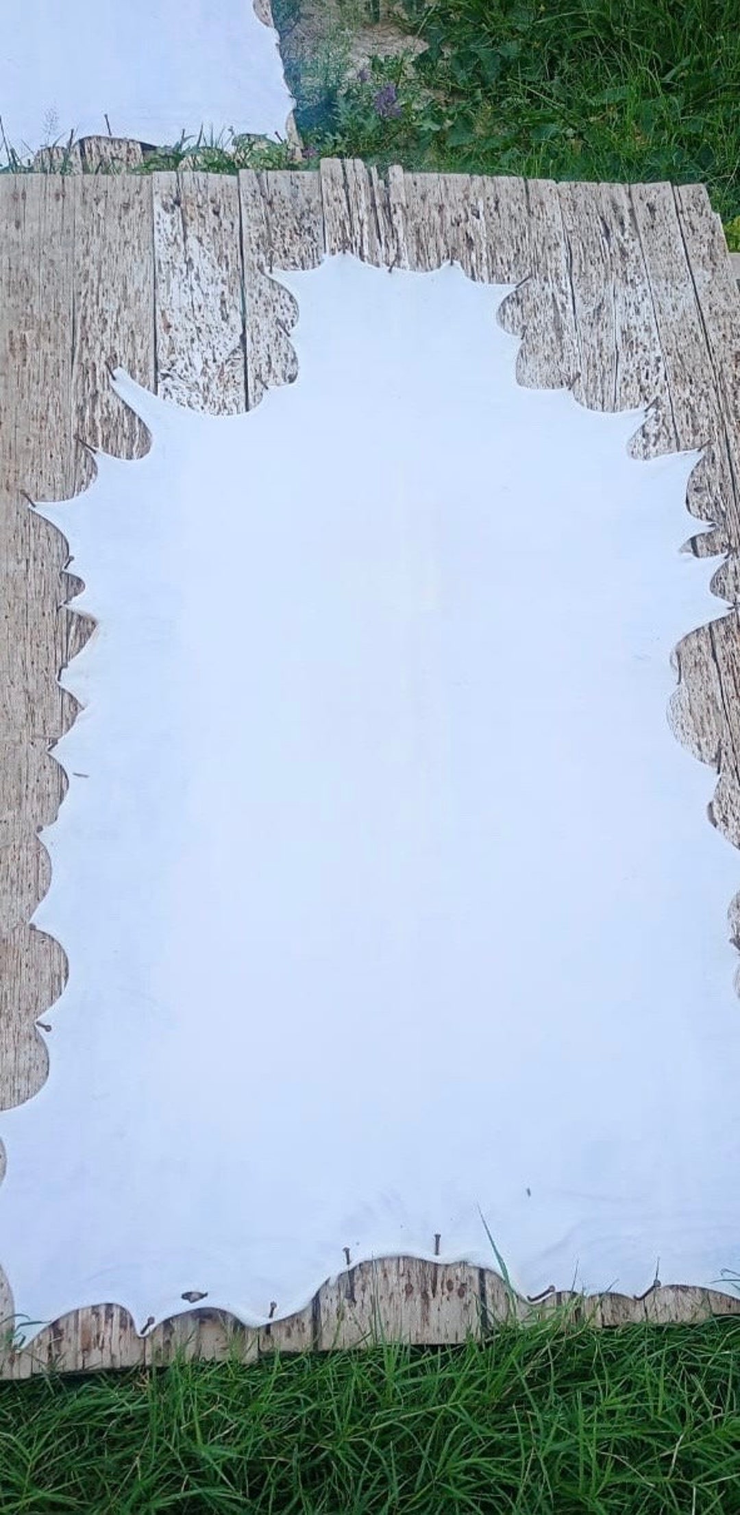 Full Hide Natural Goatskin Parchment Genuine Goatskin - Etsy