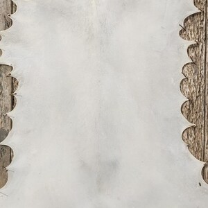 Goat Leather, Calf Skin Parchment Full Hides Full Hide Natural Goatskin ...