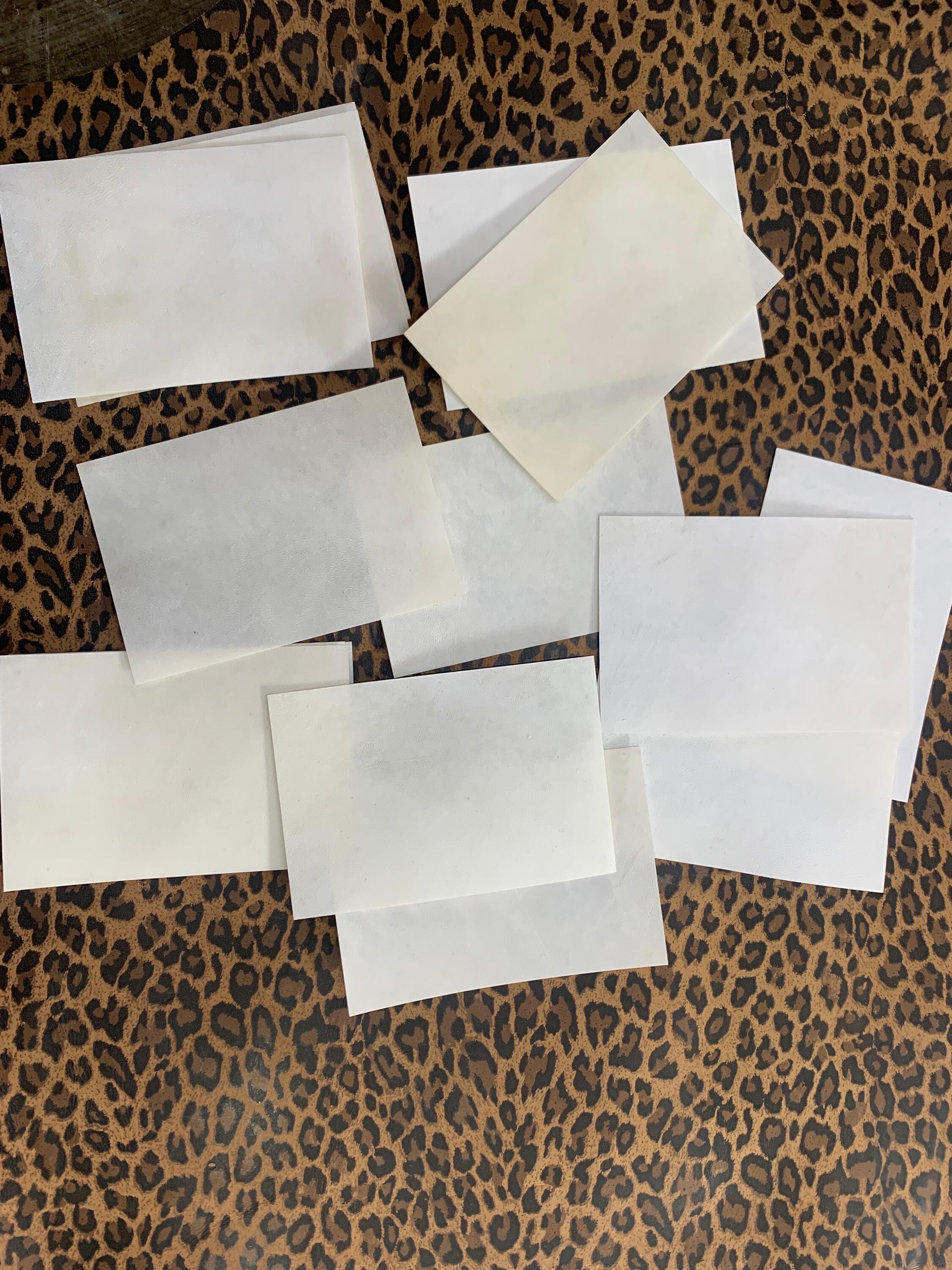 Goatskin Parchment Leather Vellum Sheets for Calligraphy, Painting ...