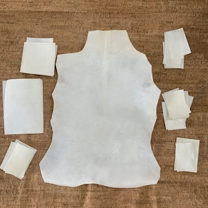 Goat Leather, Calf Skin Parchment Full Hides Full Hide Natural Goatskin ...