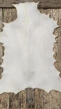 Goat Leather, Calf Skin Parchment Full Hides Full Hide Natural Goatskin ...