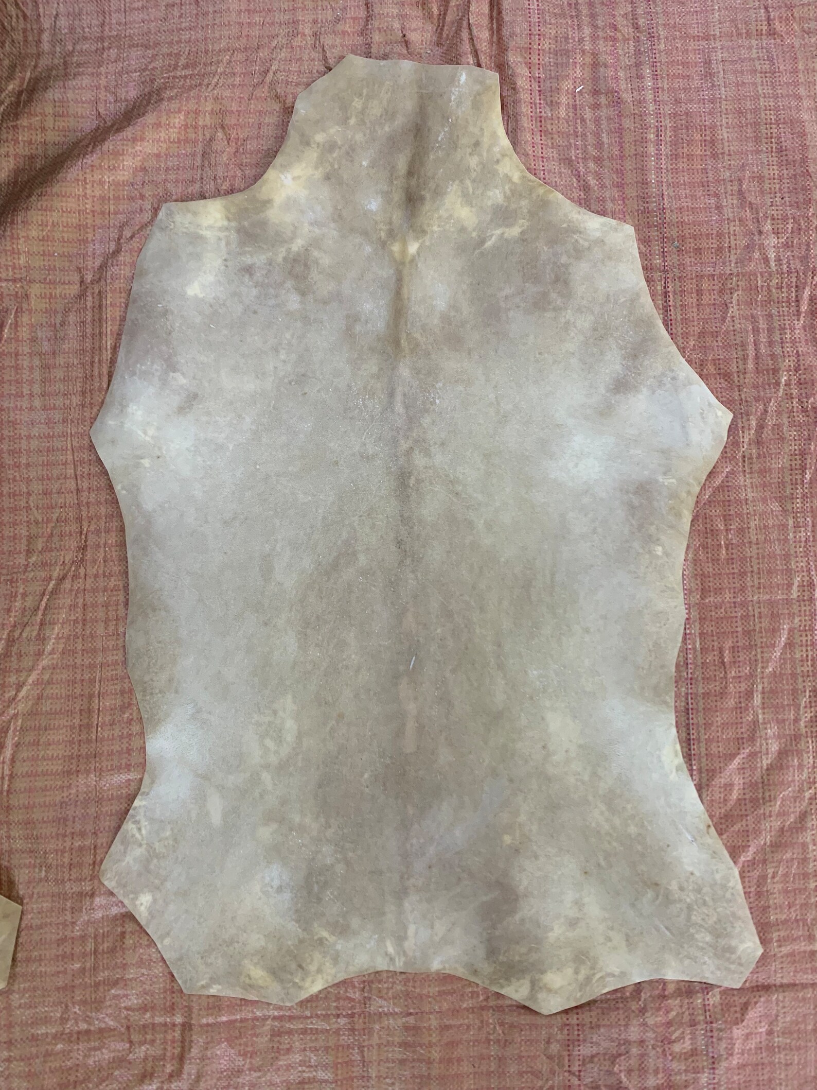 Antique Goat Leather, Calf Skin Parchment Full Hides Natural Goat ...