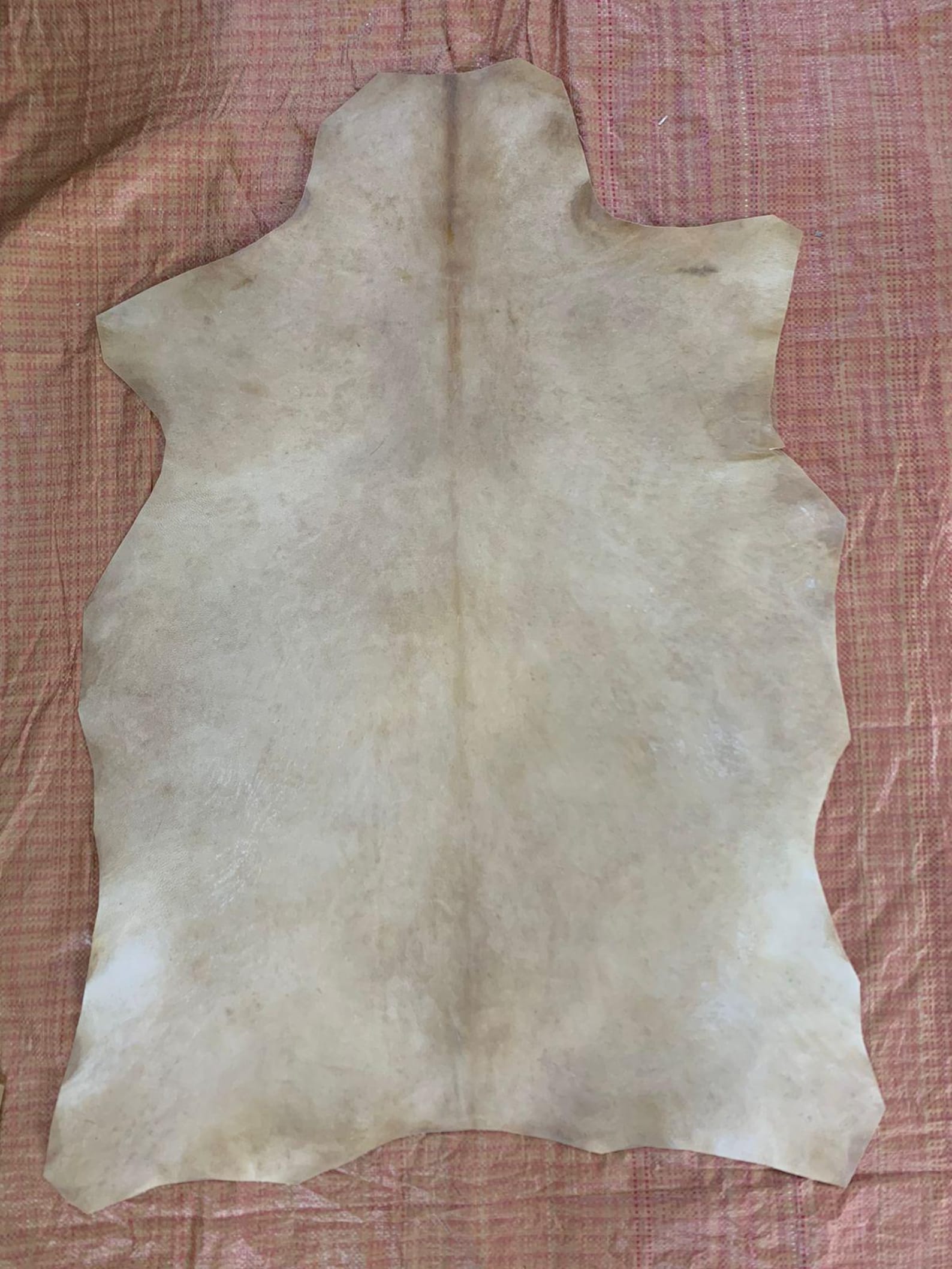 Goat Leather, Calf Skin Parchment Full Hides Full Hide Natural Goatskin ...