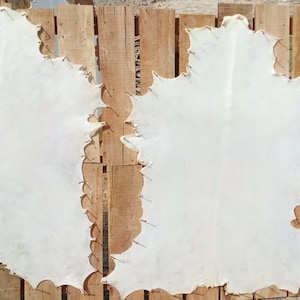 Goat Leather, Calf Skin Parchment Full Hides Full Hide Natural Goatskin ...
