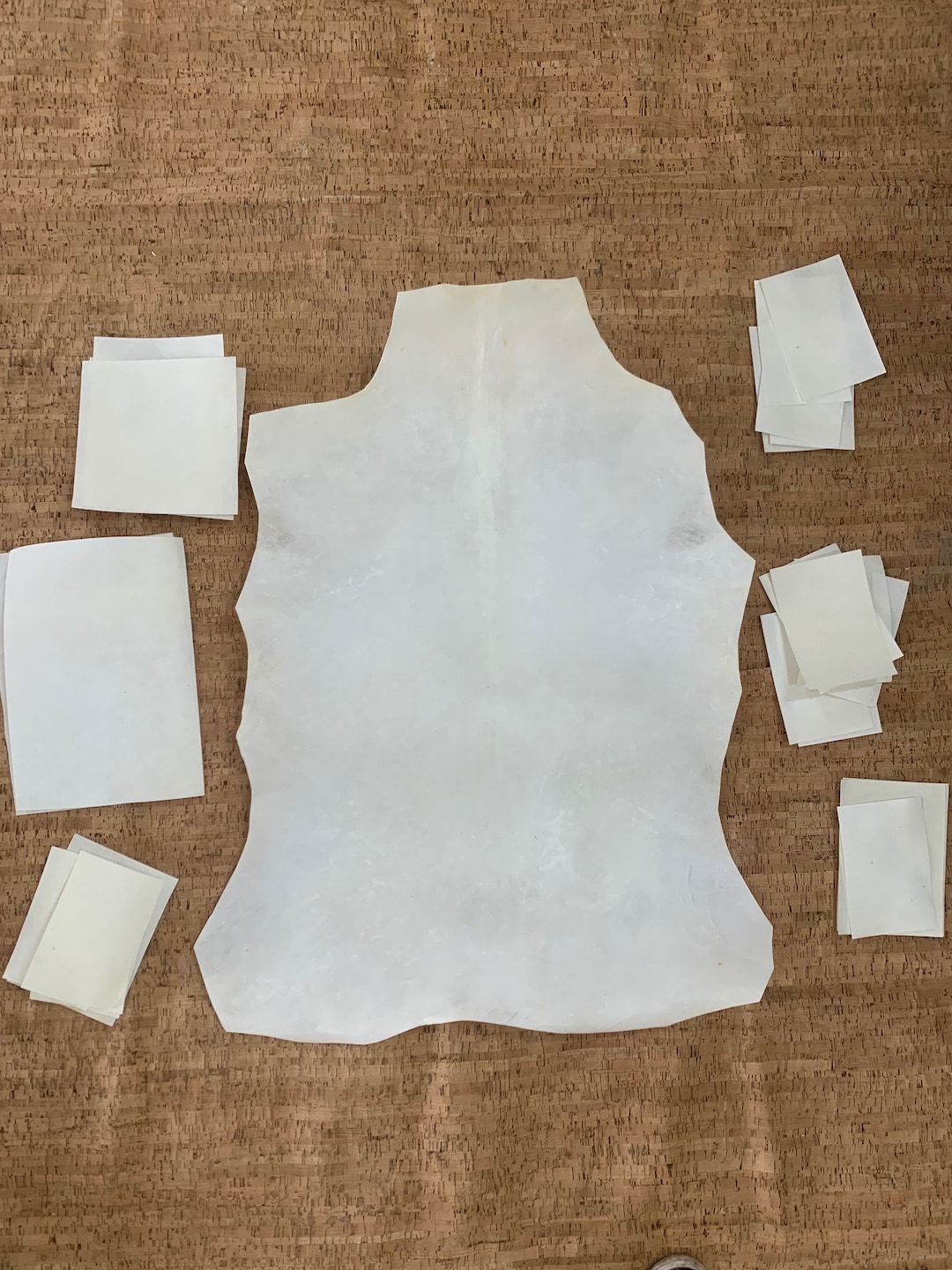 MANUSCRIPT Vellum, Goatskin Parchment Leather Sheets, Calfskin for ...