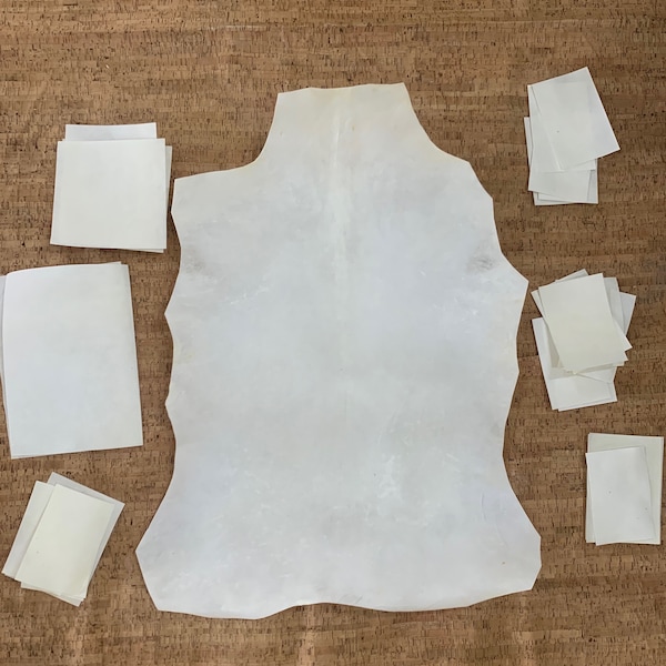 Vellum Paper - Etsy