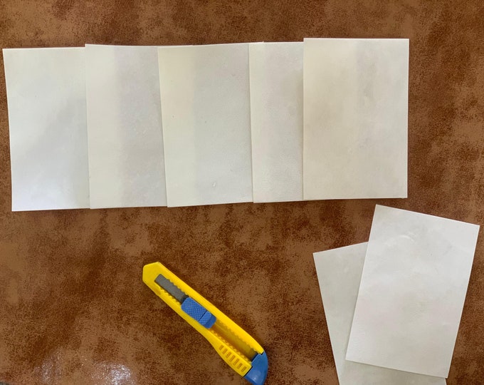 Real Medievally Made Parchment/vellum/pergamenum Made From Sheep/goat ...