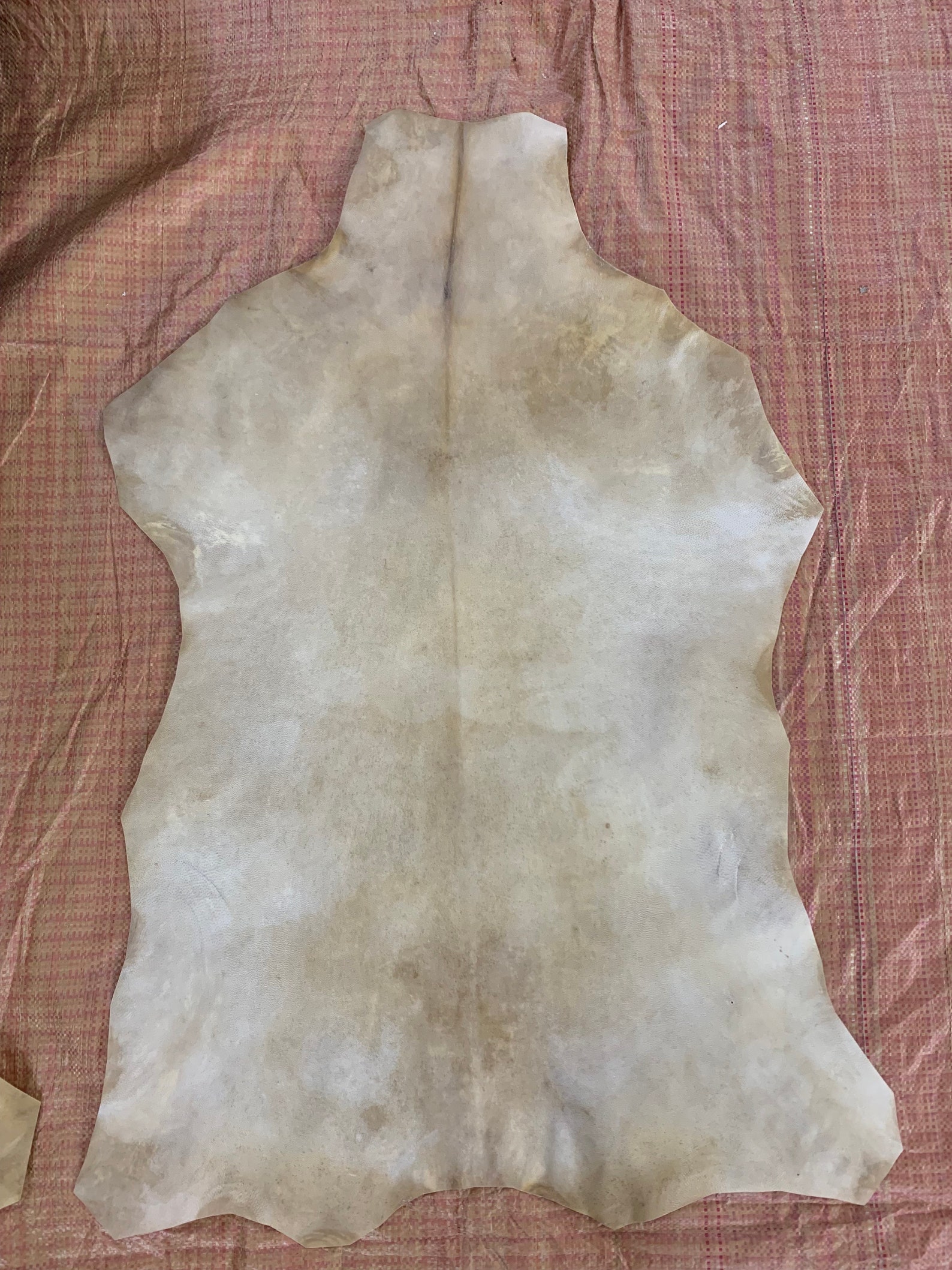 Antique Goat Leather, Calf Skin Parchment Full Hides Natural Goat ...
