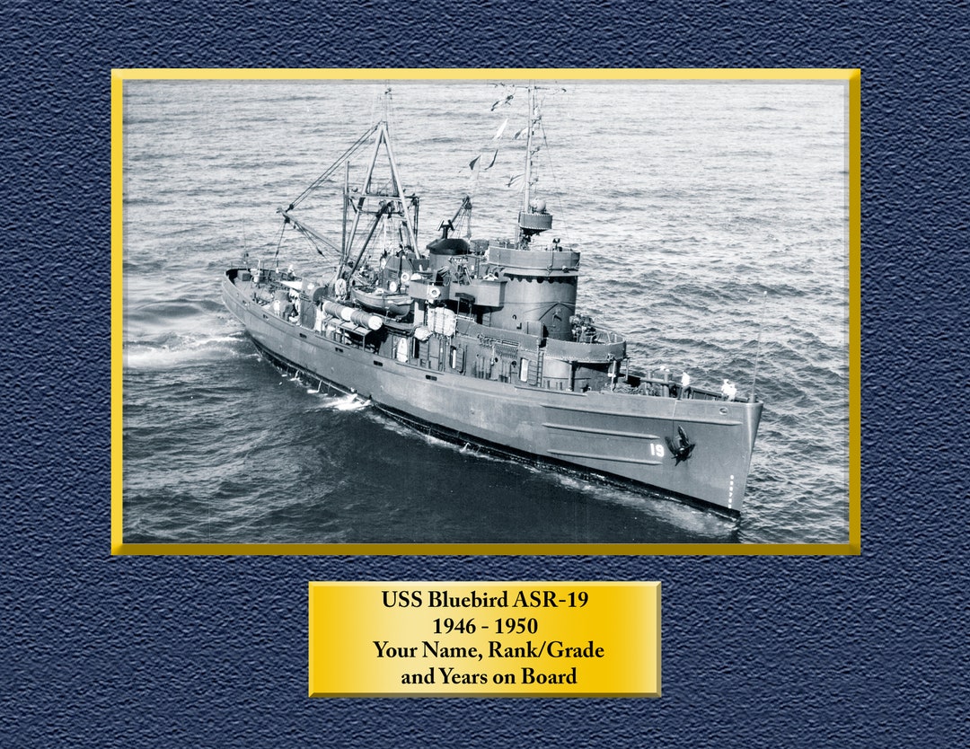 USS Bluebird ARS-19 Custom Personalized 8.5 X 11 Print of US Navy Ships ...