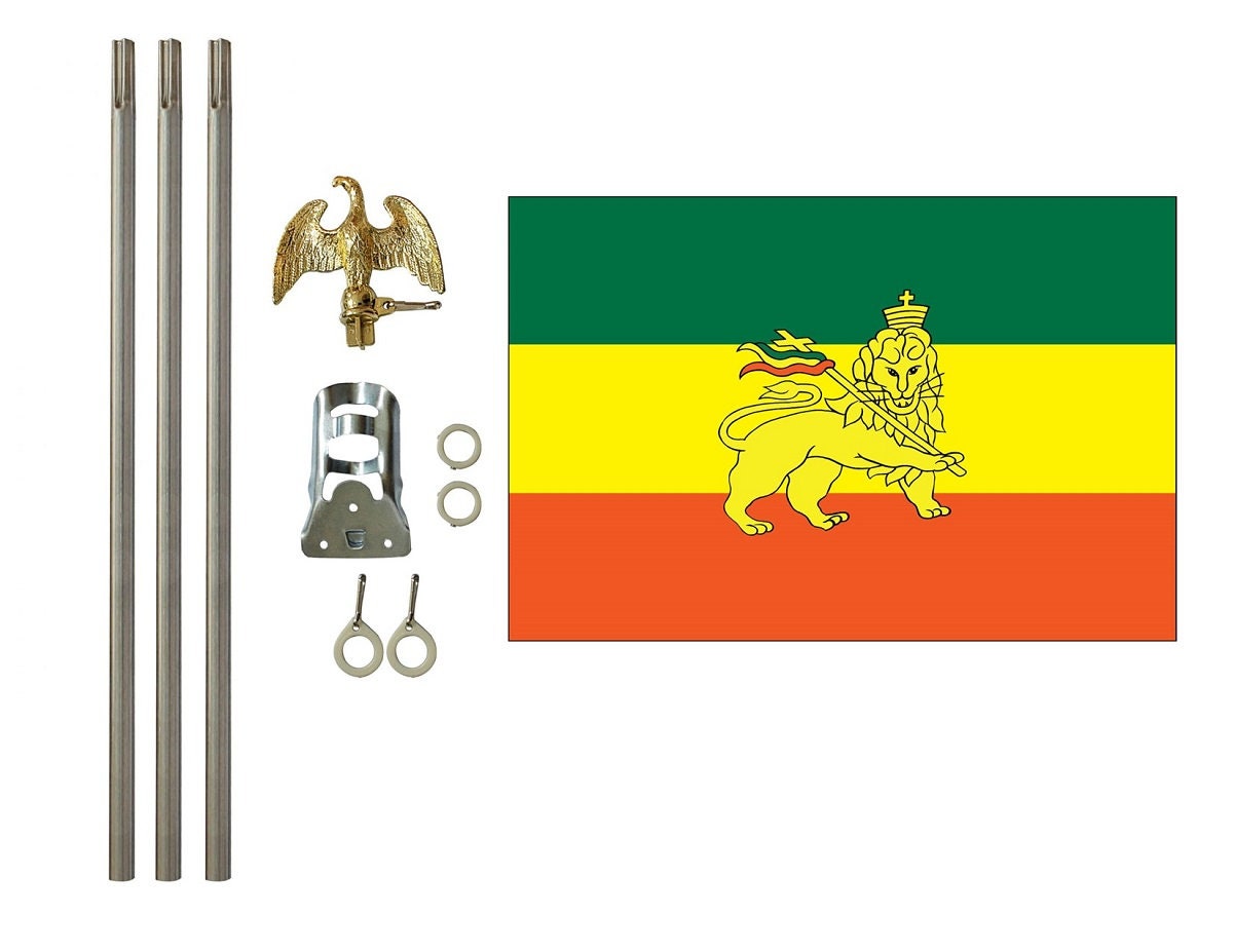 X 5 Lions Flag