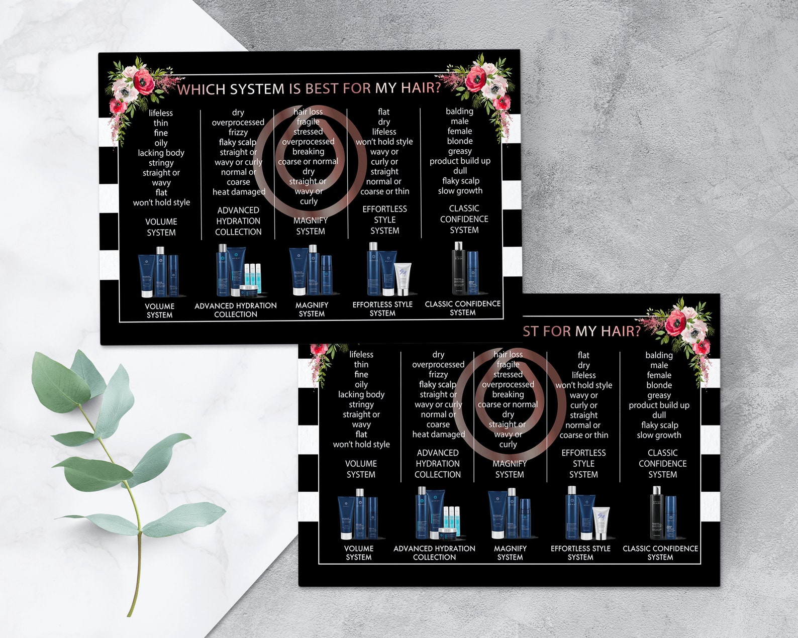 Monat Marketing Kit, Monat Marketing Bundle, Monat Starter Kit , Rose ...