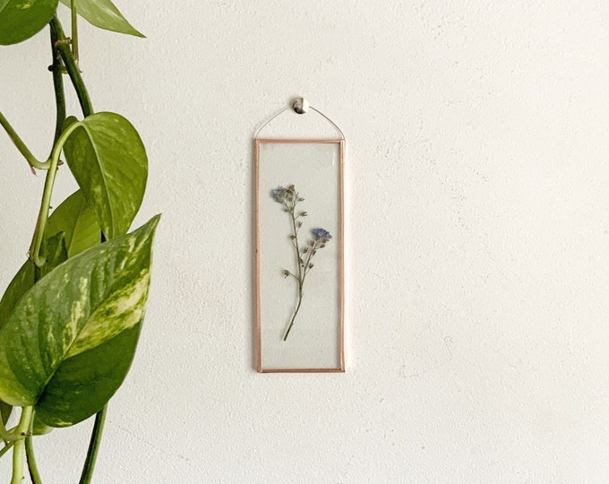 REAL PRESSED FORGETMENOT Hand Made Pressed Forget Me Not - Etsy