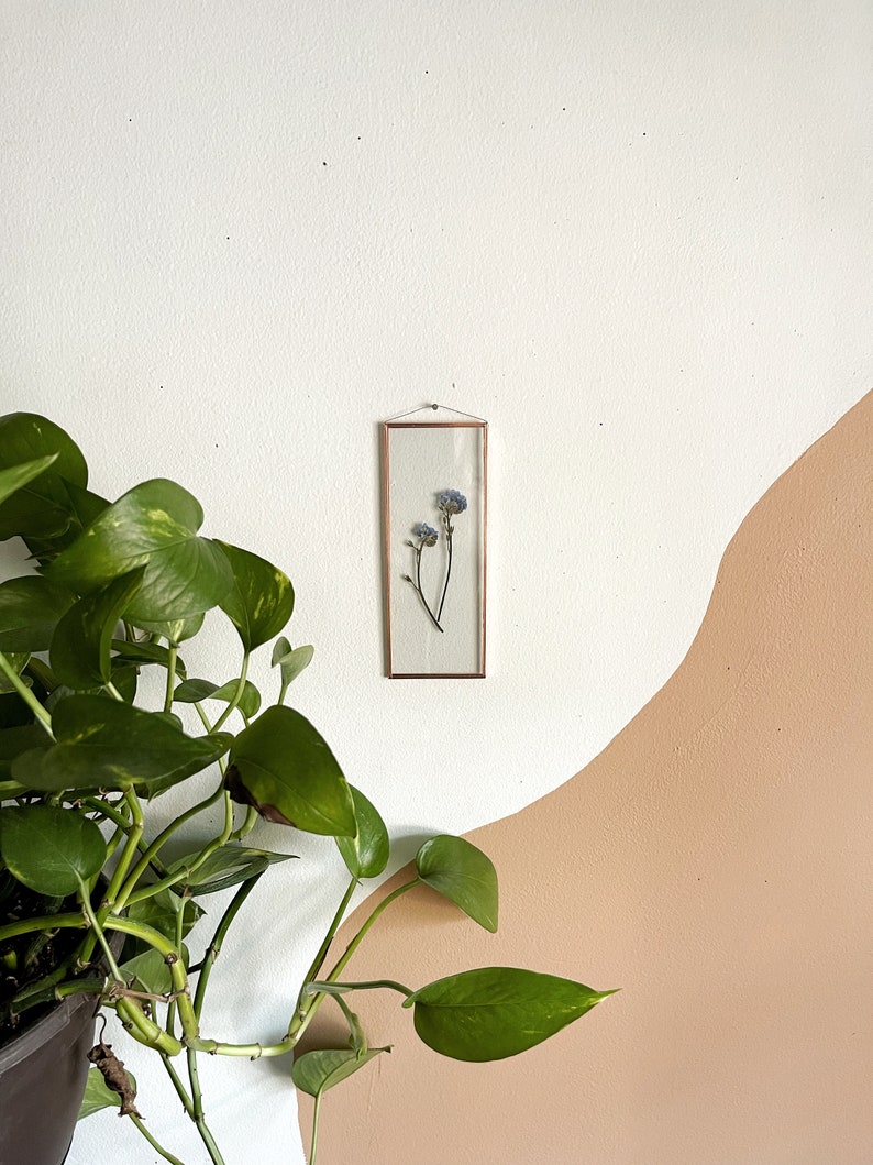 REAL PRESSED FORGETMENOT | Hand Made Pressed Forget Me Not Wall Hang ...