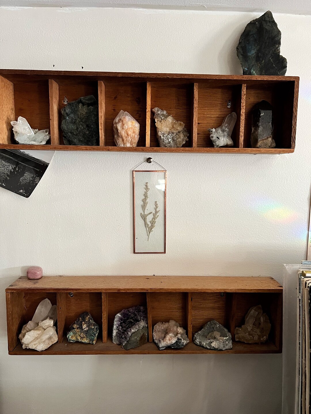 REAL PRESSED FLOWER real pressed wild sage in glass copper - Etsy.de