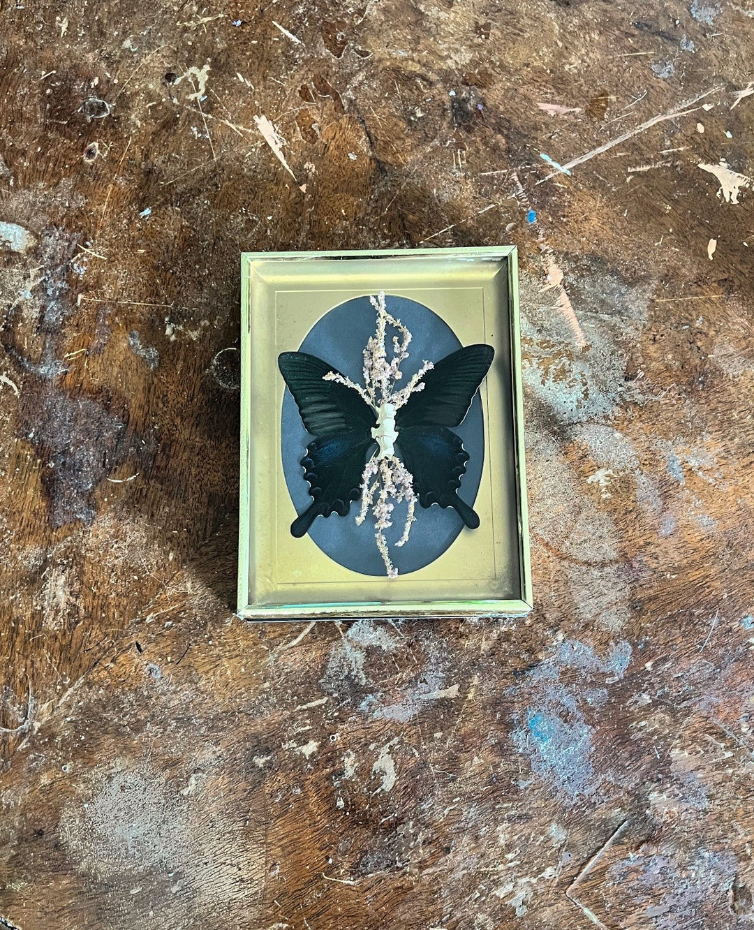 Real Butterfly Wings Mink Vertebrae Dried Flowers in a Vintage Brass ...