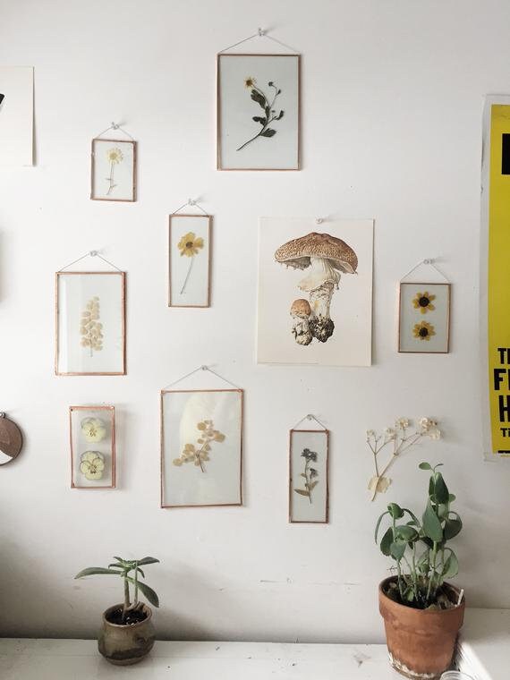 REAL PRESSED DAISY Hand Made 4x6 Pressed Purple Daisy Wall - Etsy