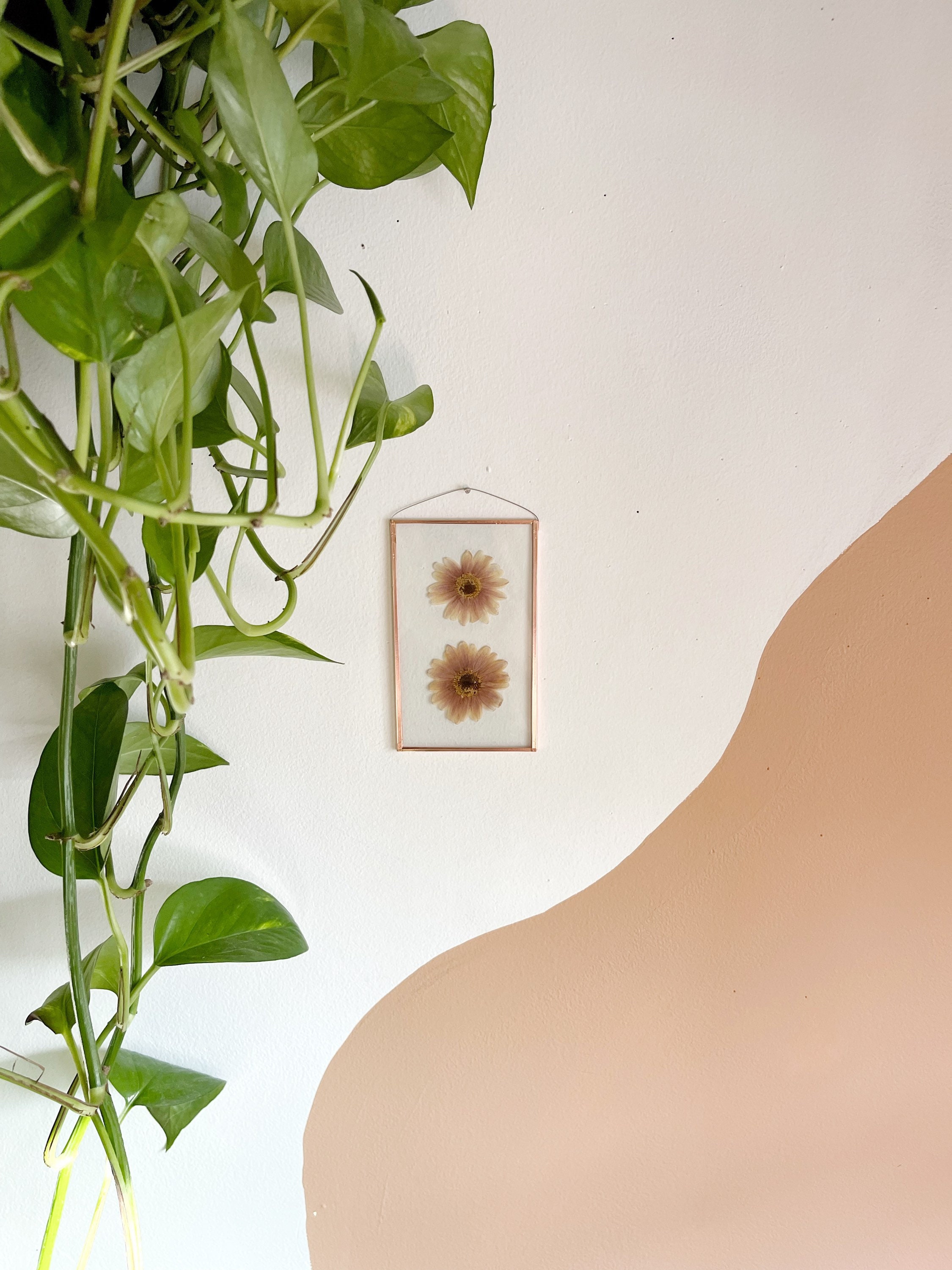 REAL PRESSED DAISY Hand Made 4x6 Pressed Purple Daisy Wall - Etsy