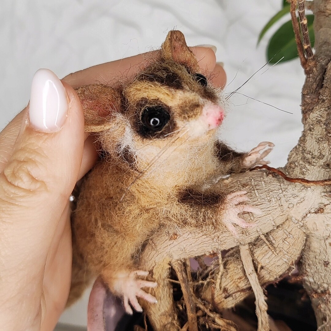 Needle Felted Sugar Glider Realistic Animal Sculpture - Etsy