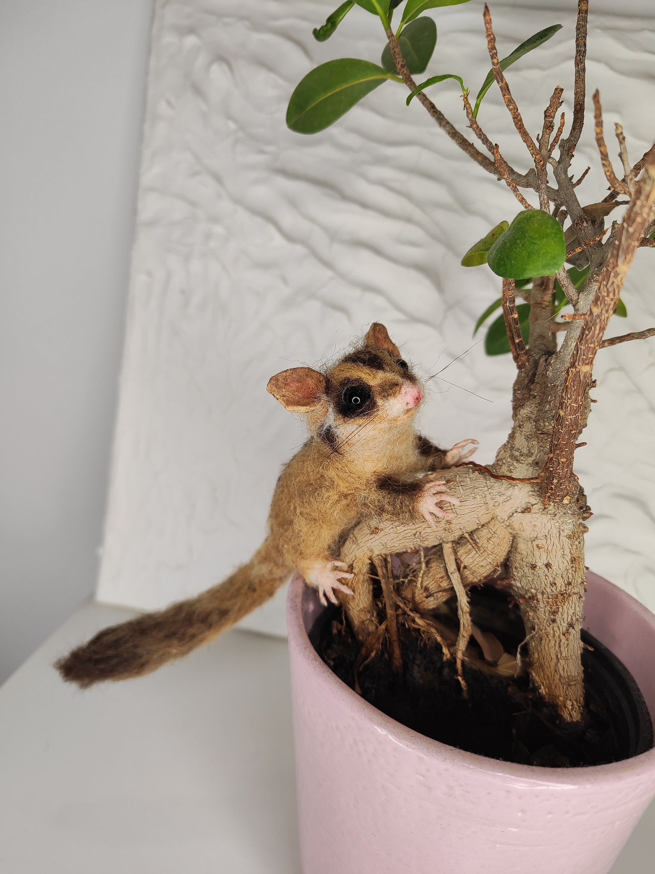 Needle Felted Sugar Glider Realistic Animal Sculpture - Etsy
