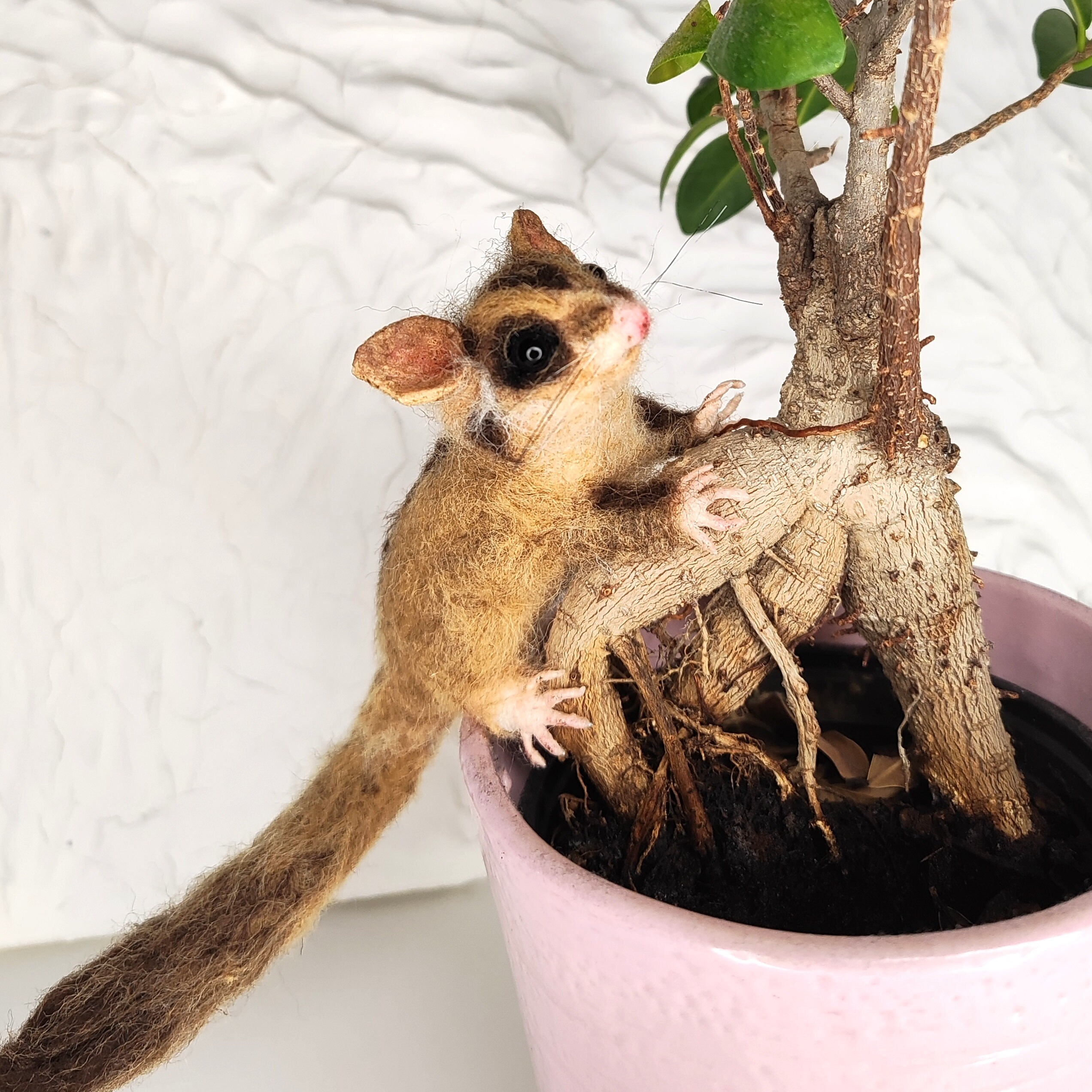 Needle Felted Sugar Glider Realistic Animal Sculpture - Etsy