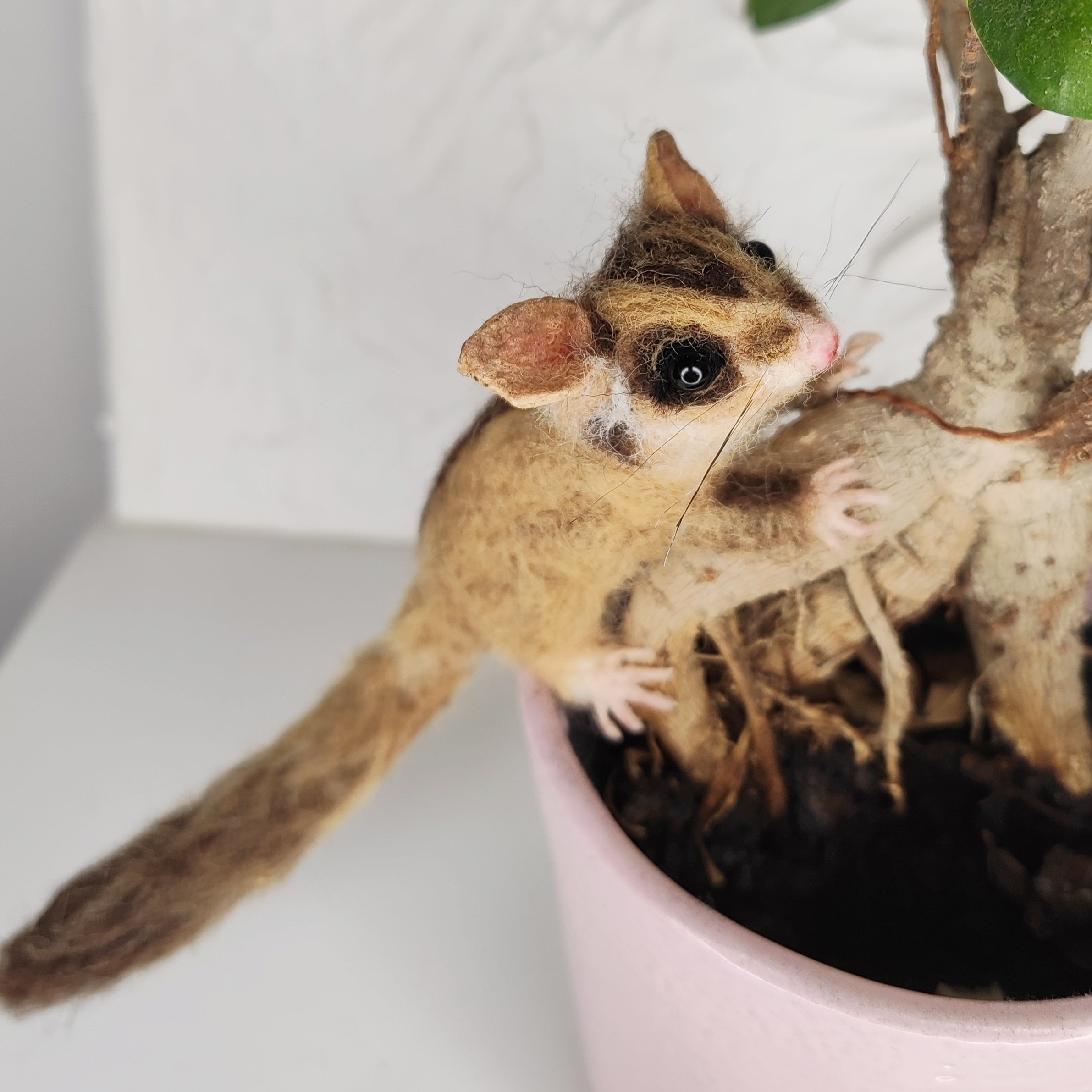 Needle Felted Sugar Glider Realistic Animal Sculpture - Etsy