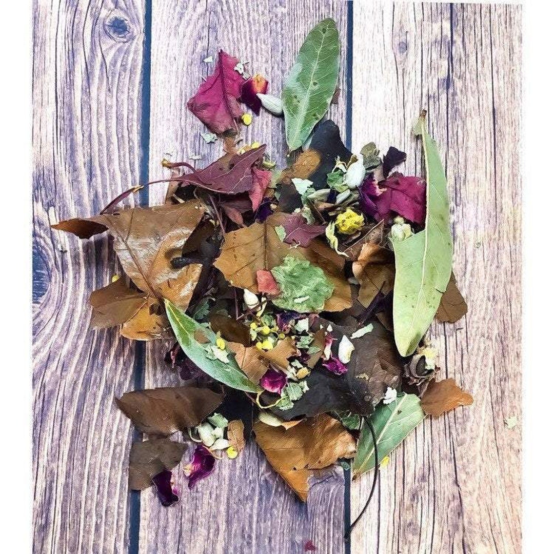 Foraging Mix | Hermit Crab Food - Etsy