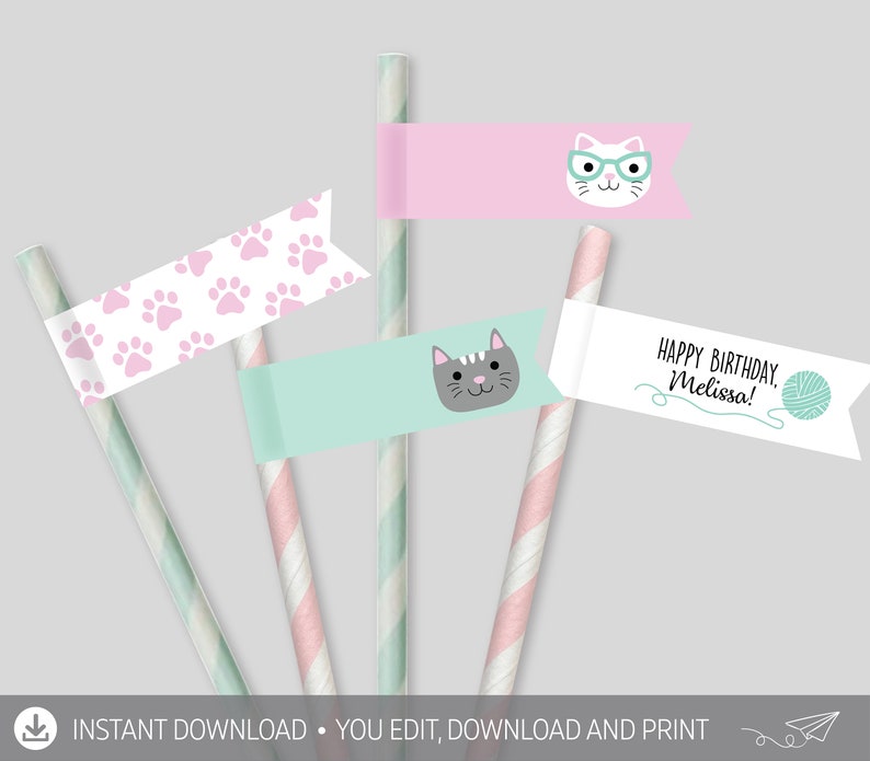 Kitten Birthday Party Kit DIGITAL Cat Party Bundle Set - Etsy