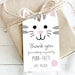 Kitten Birthday Party Kit DIGITAL Cat Party Bundle Set Personalized ...