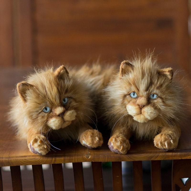 Realistic Cat Costume - Etsy