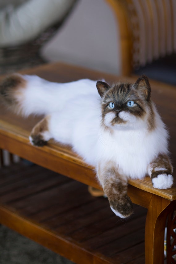 Lifelike stuffed siamese cat store