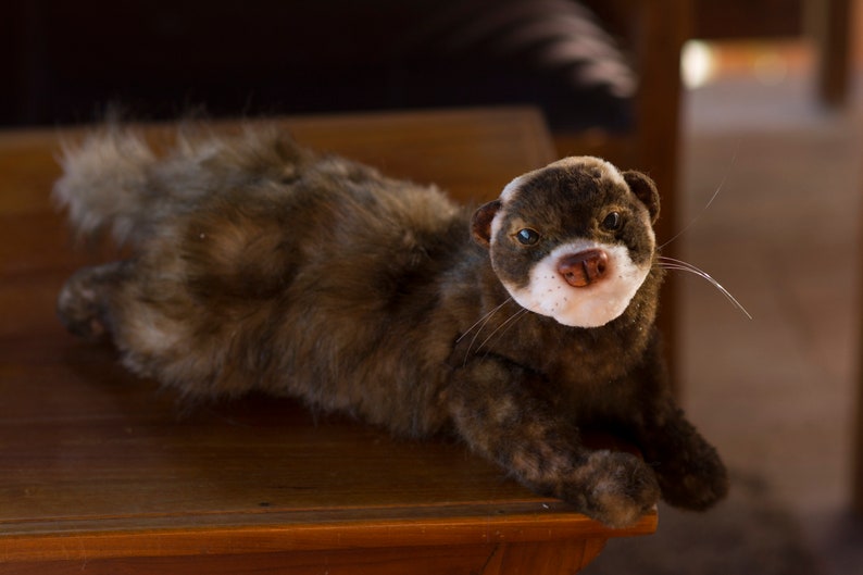 In Stock! Cute Stuffed Ferret Replica Plush, Artist Ferret Toy Portrait ...