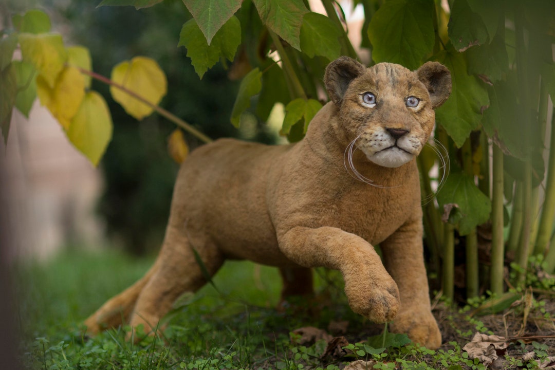 Realistic Stuffed Lioness Plush Replica, Lifelike Lion Plush, Stuff ...