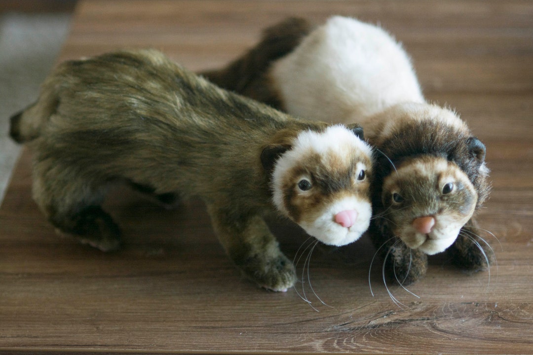 Made to Order For Realistic Ferret Plush Copy of Your Pet, Custom Plush ...