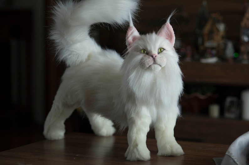 Made to Order Realistic Poseable Main Coon Cat Plush - Etsy