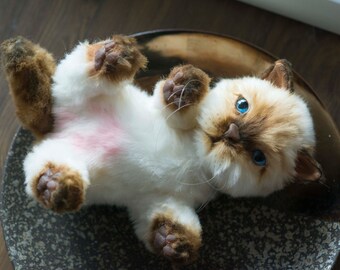 Siamese Kitten Plush Toy - Etsy