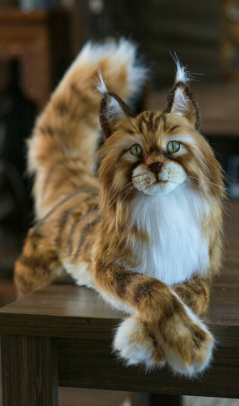 Realistic Maine Coon Custom Cat Plush From Photo Lifelike - Etsy