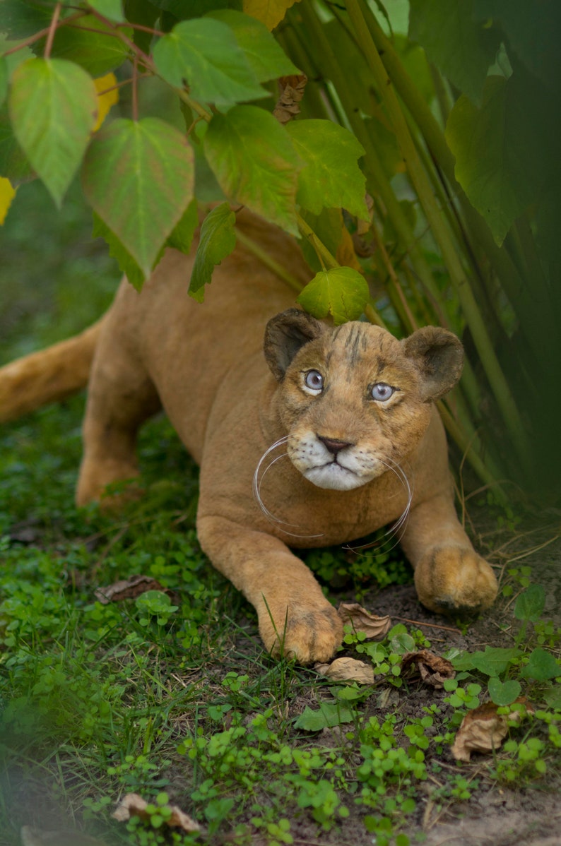 Realistic Stuffed Lioness Plush Replica, Lifelike Lion Plush, Stuff ...