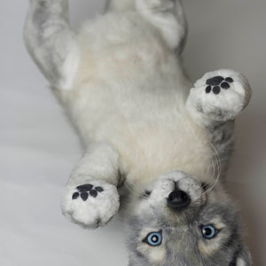 Realistic Stuffed Wolf Cub Plush Toy, Lifelike Ooak Wolf Puppy Stuff ...